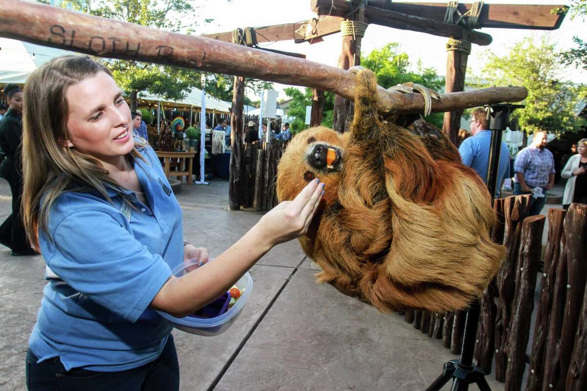 Things to do in Houston: Amusement parks for kids of all ages