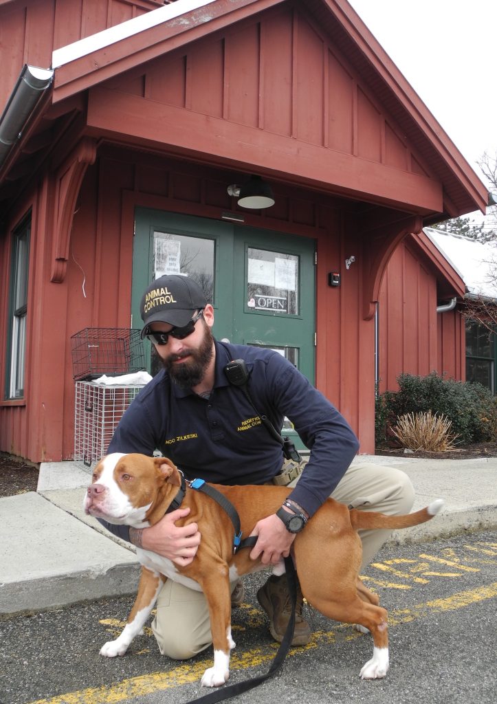 Army vet now on animal patrol