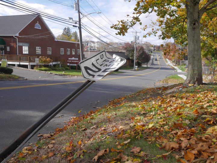 Car hits sign, tree on Prospect Street