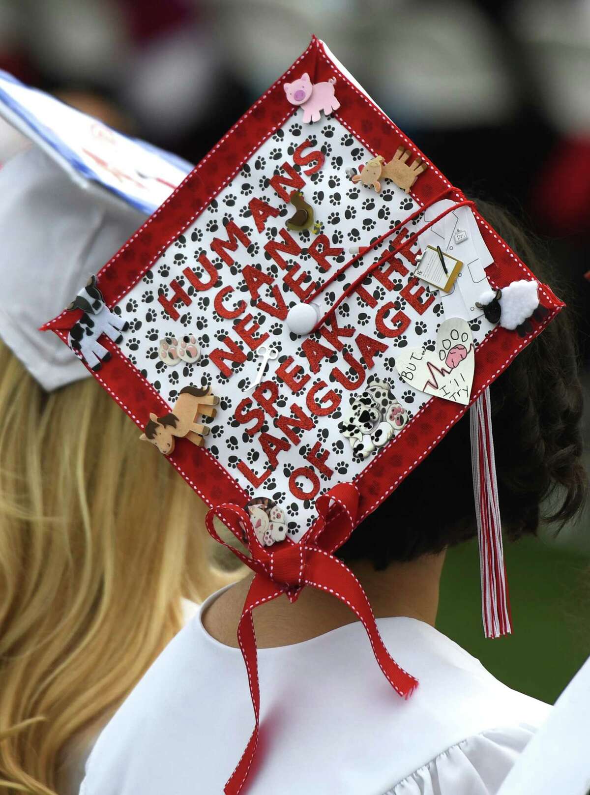 The best graduation caps of 2019 from CT high schools