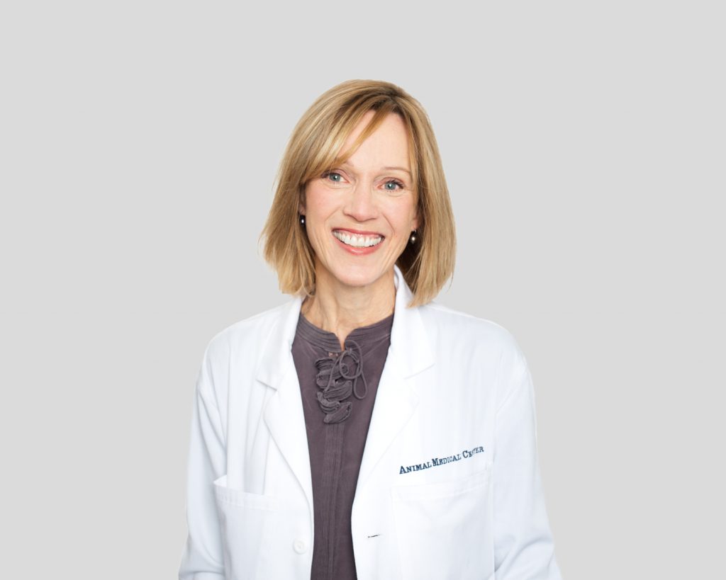 Dr. Quesenberry named chief medical officer at NYC’s Animal Medical Center