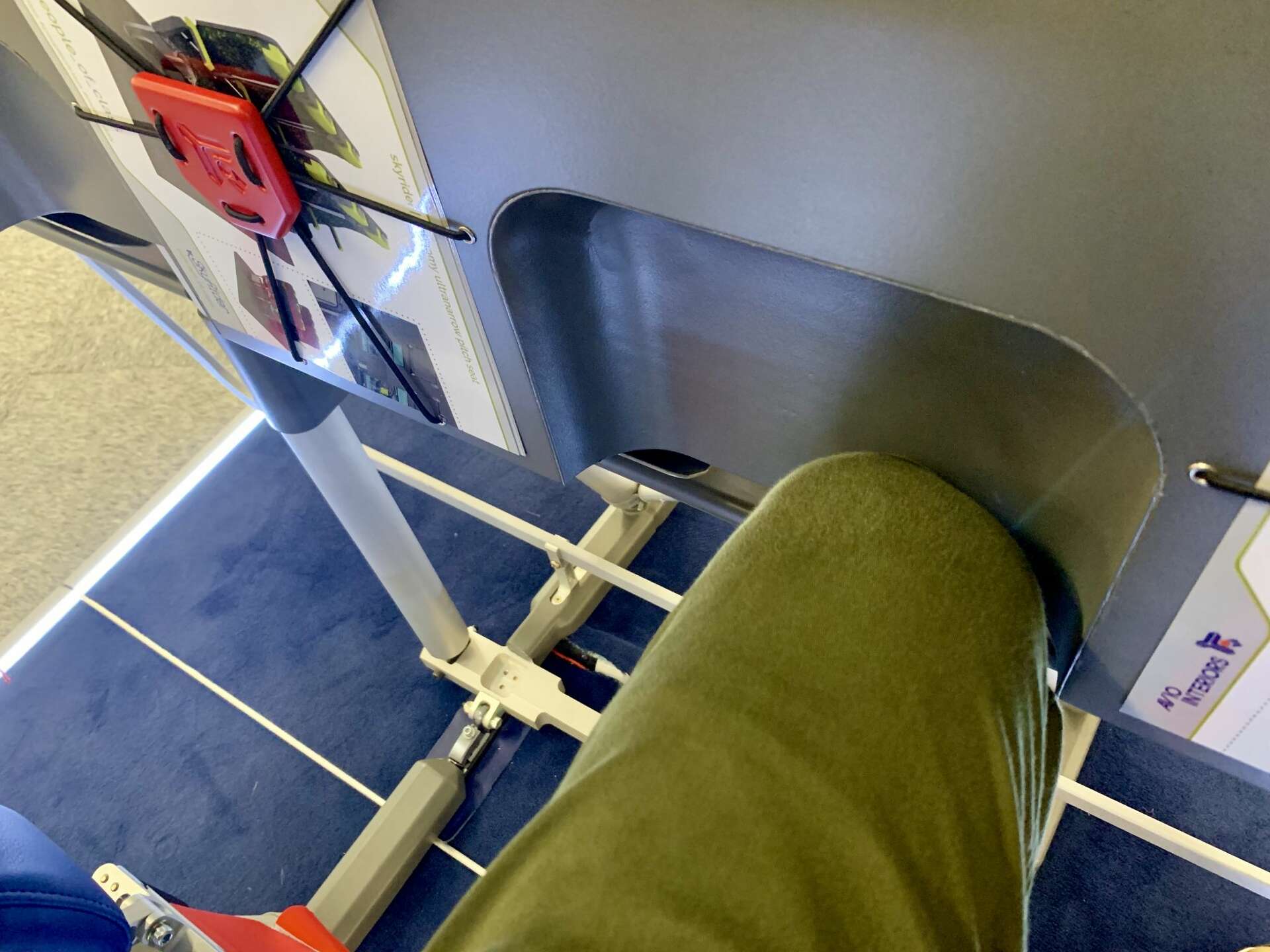 The flying saddle: Would you give it a try?