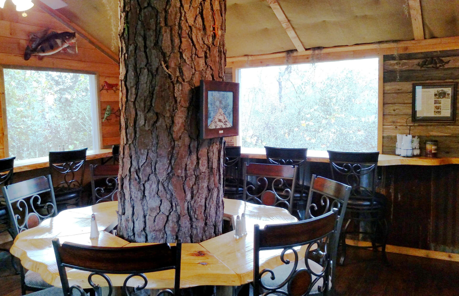 Dine among the treetops at this hidden gem restaurant in Magnolia