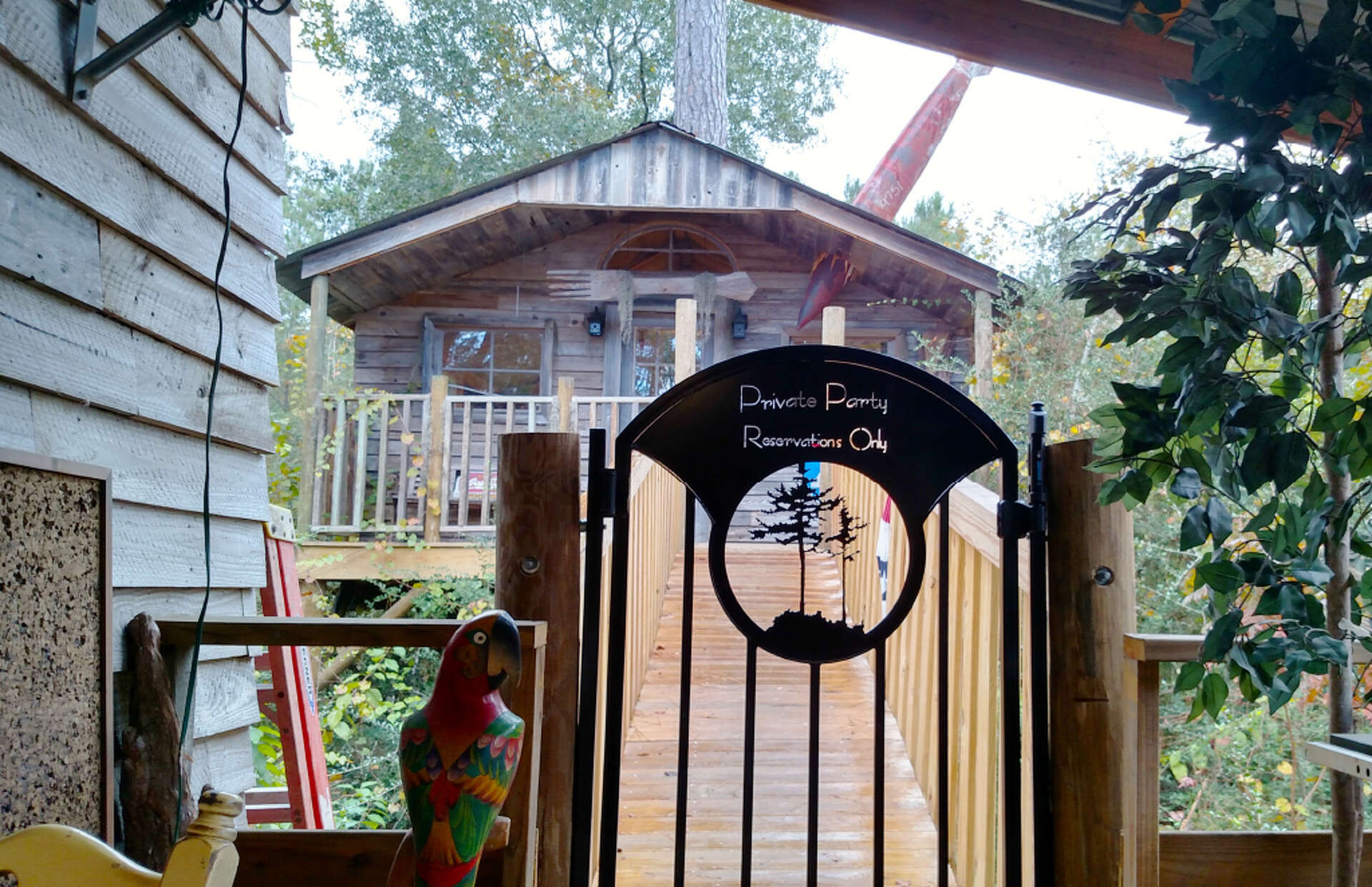 Dine among the treetops at this hidden gem restaurant in Magnolia