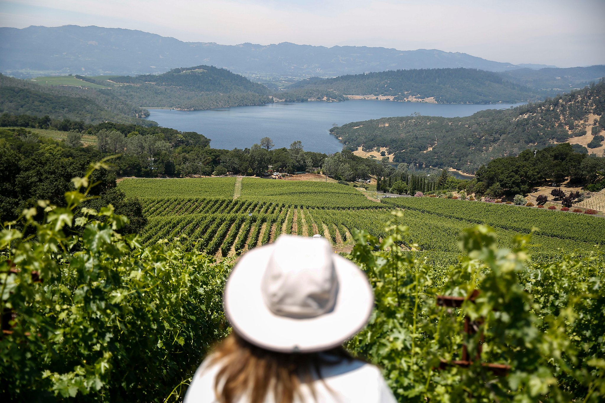 Wine news and reviews