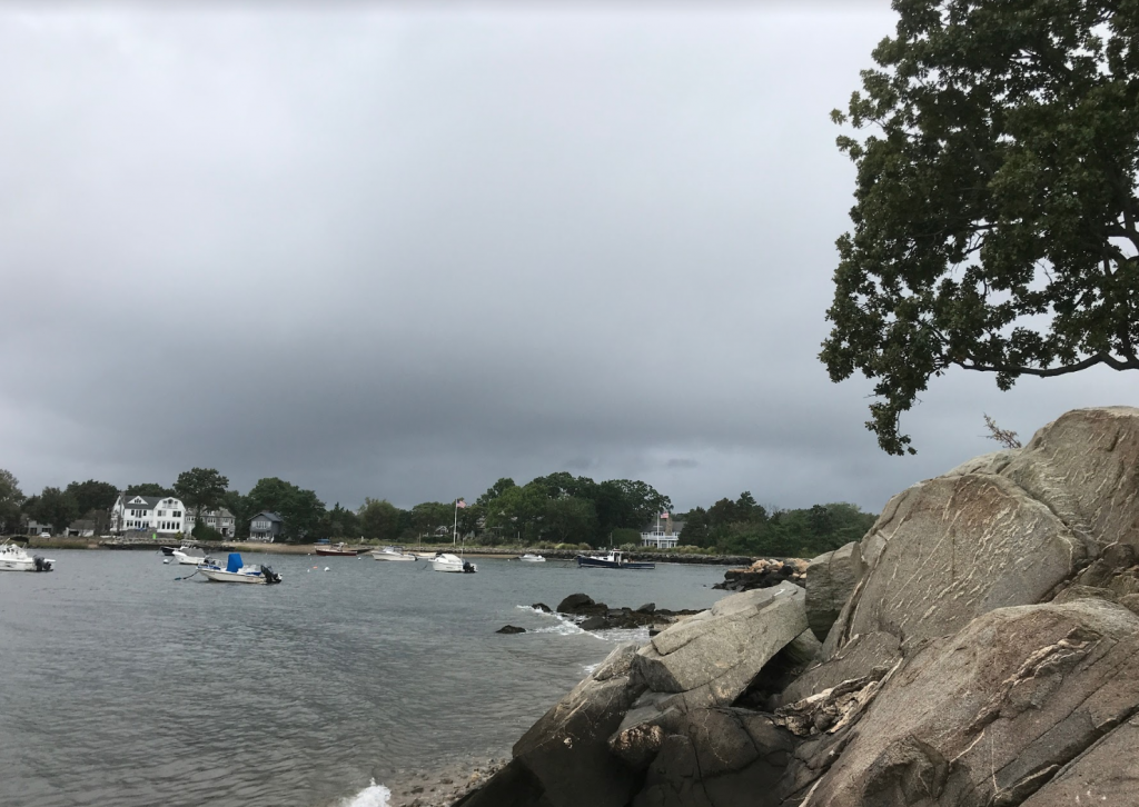 Pear Tree Beach to undergo major upgrades — Committee holds kickoff meeting