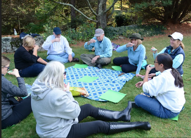Tree conservancy contributes to the beauty of Darien