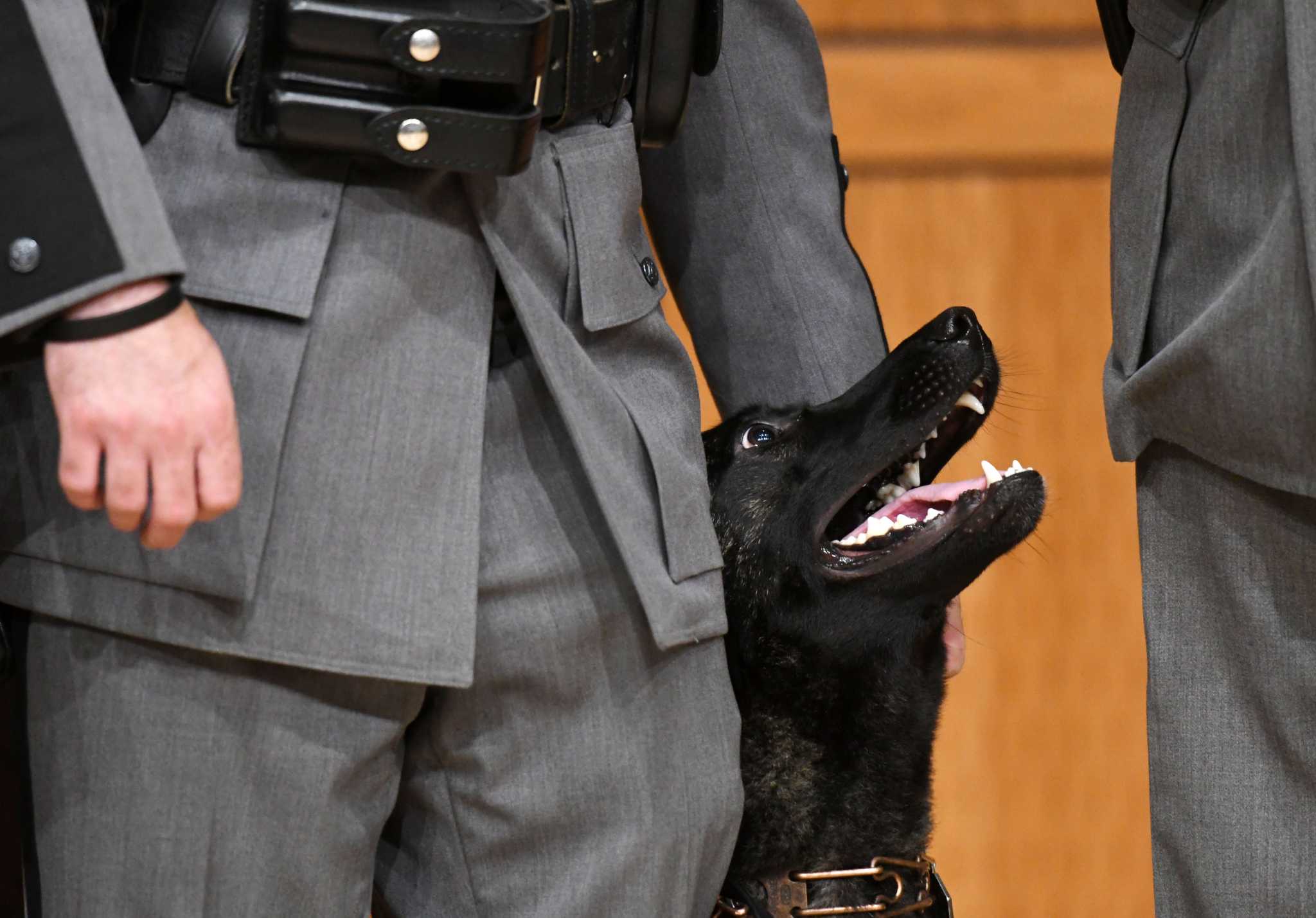 Photos: Police dogs, handlers graduate from State Police school