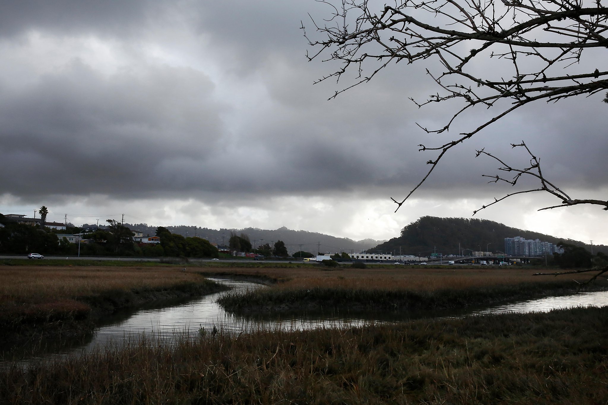 Eleven years to save San Francisco Bay