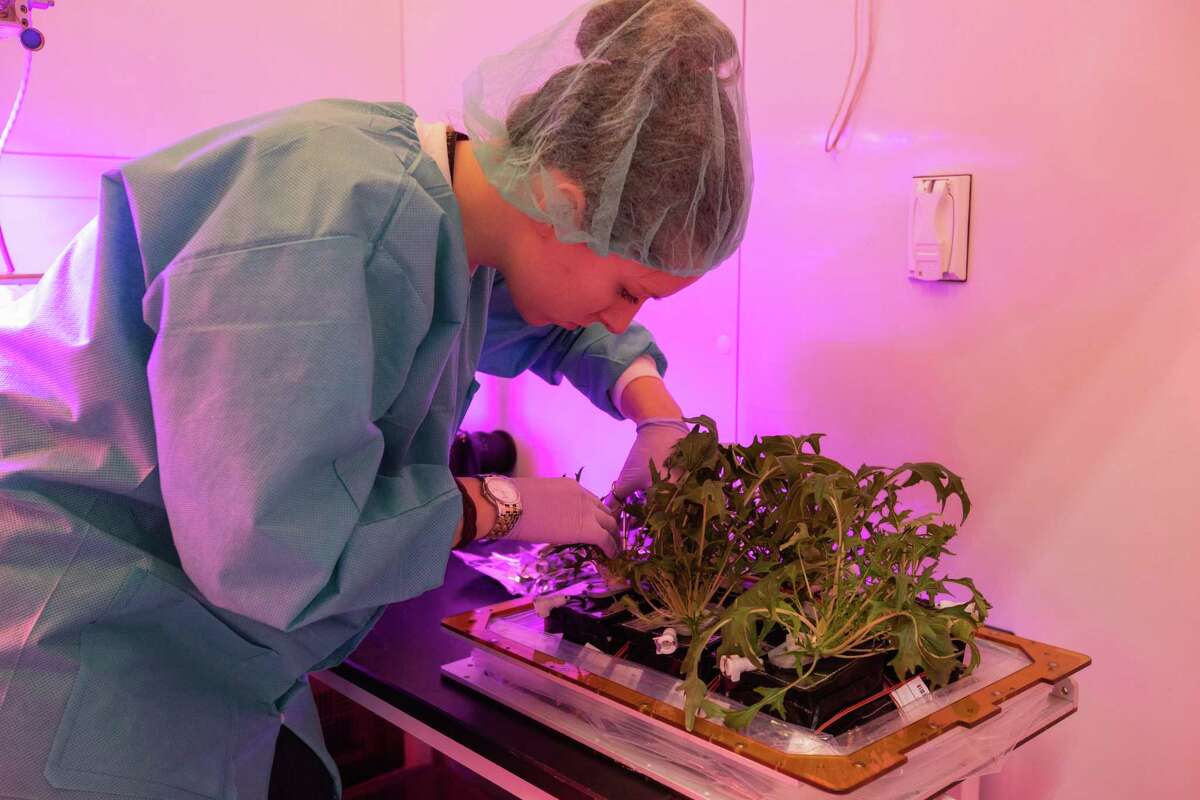 To infinity and beyond: How scientists work to keep astronauts alive in ...