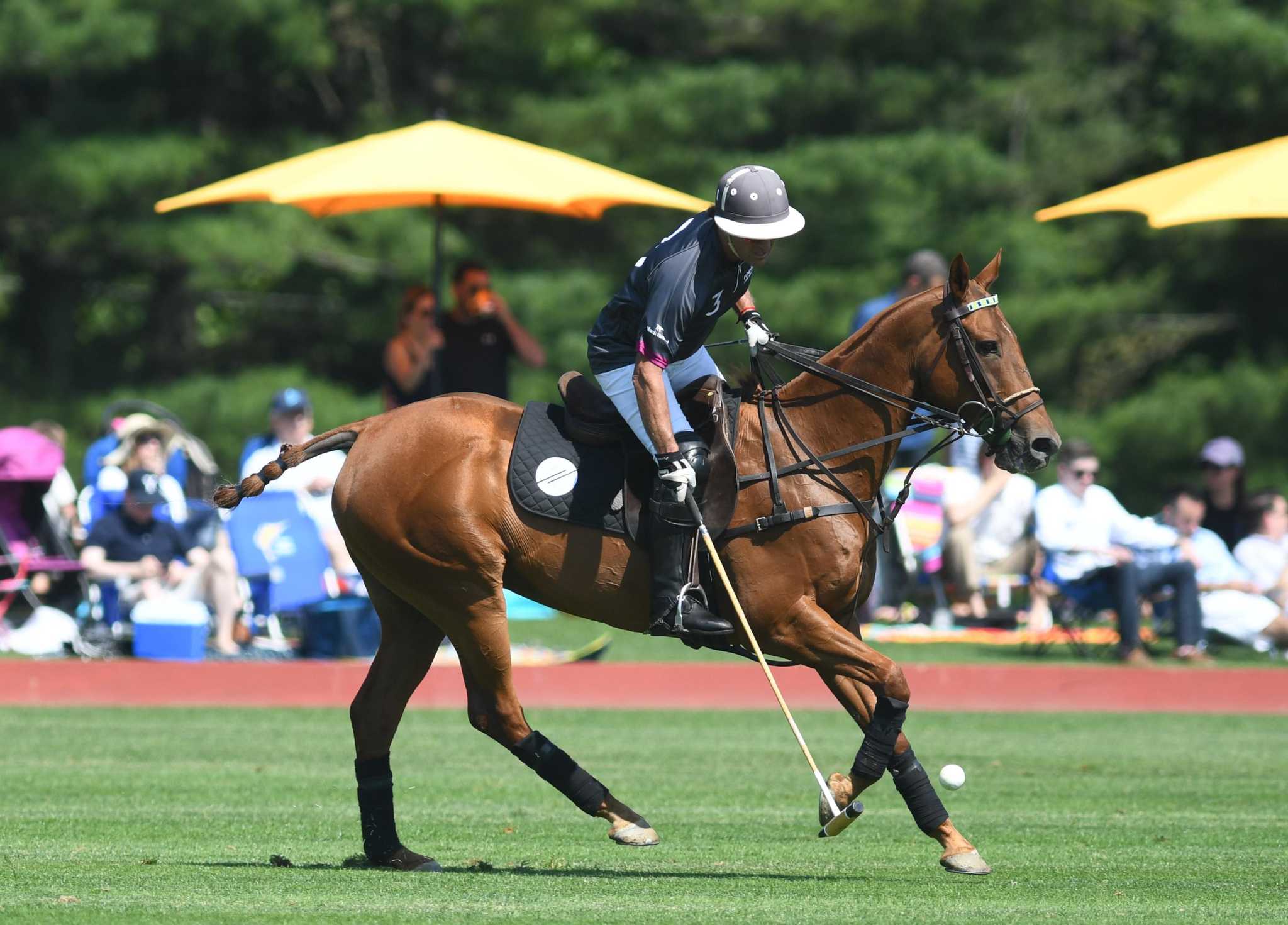 Polo games and other things to do in Greenwich