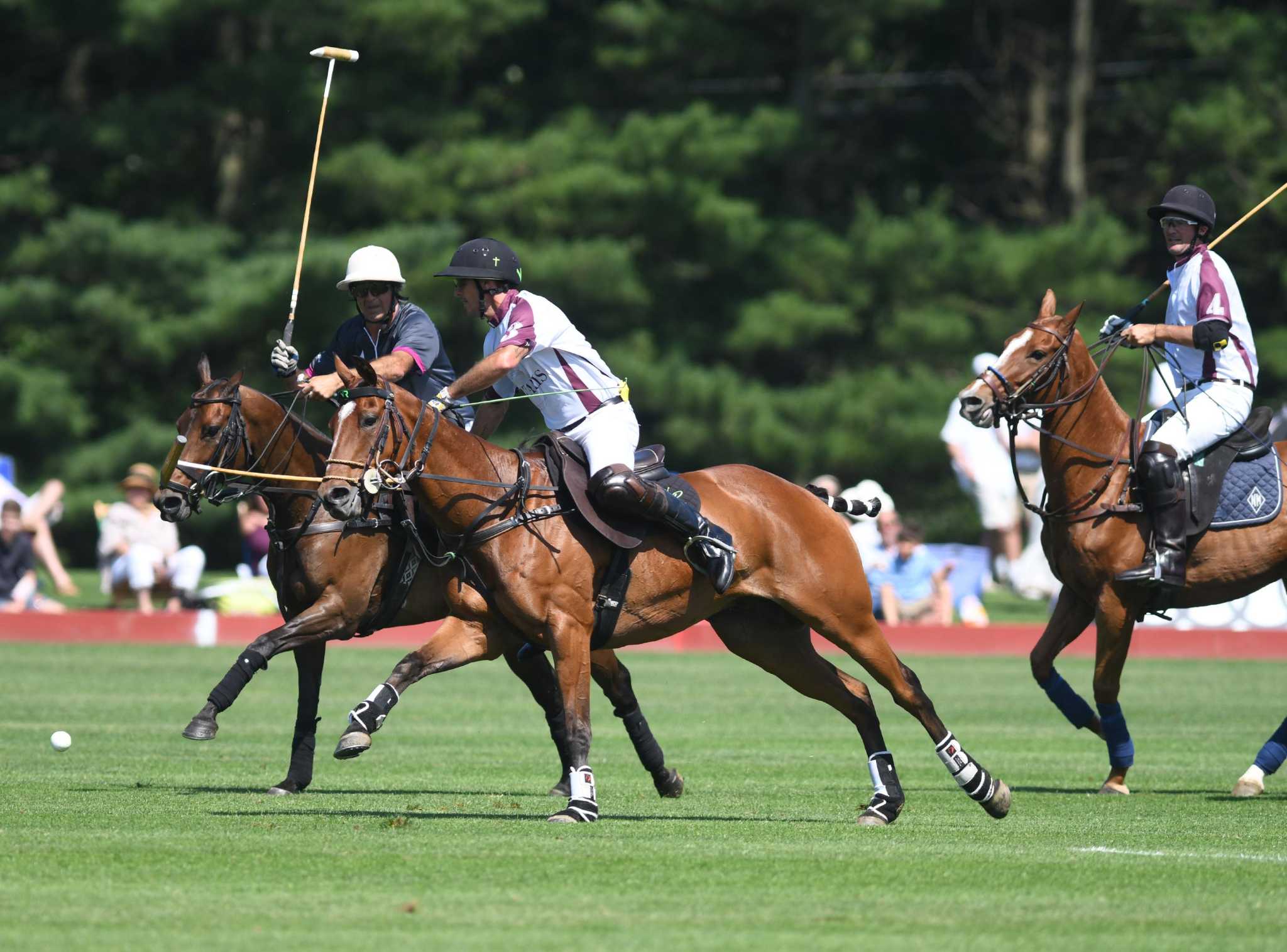 Polo matches and other things to do in Greenwich