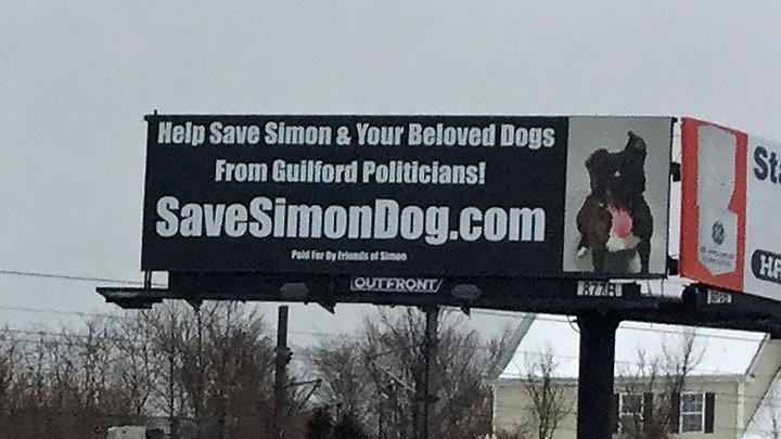 CT dog comes off ‘death row,’ finds home in Michigan