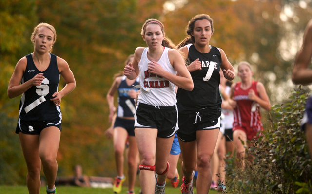 Harriers in the running at State cross country meets