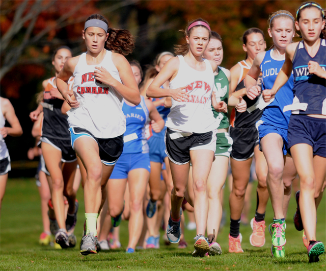 Ram Harriers in stride at FCIAC cross country finals
