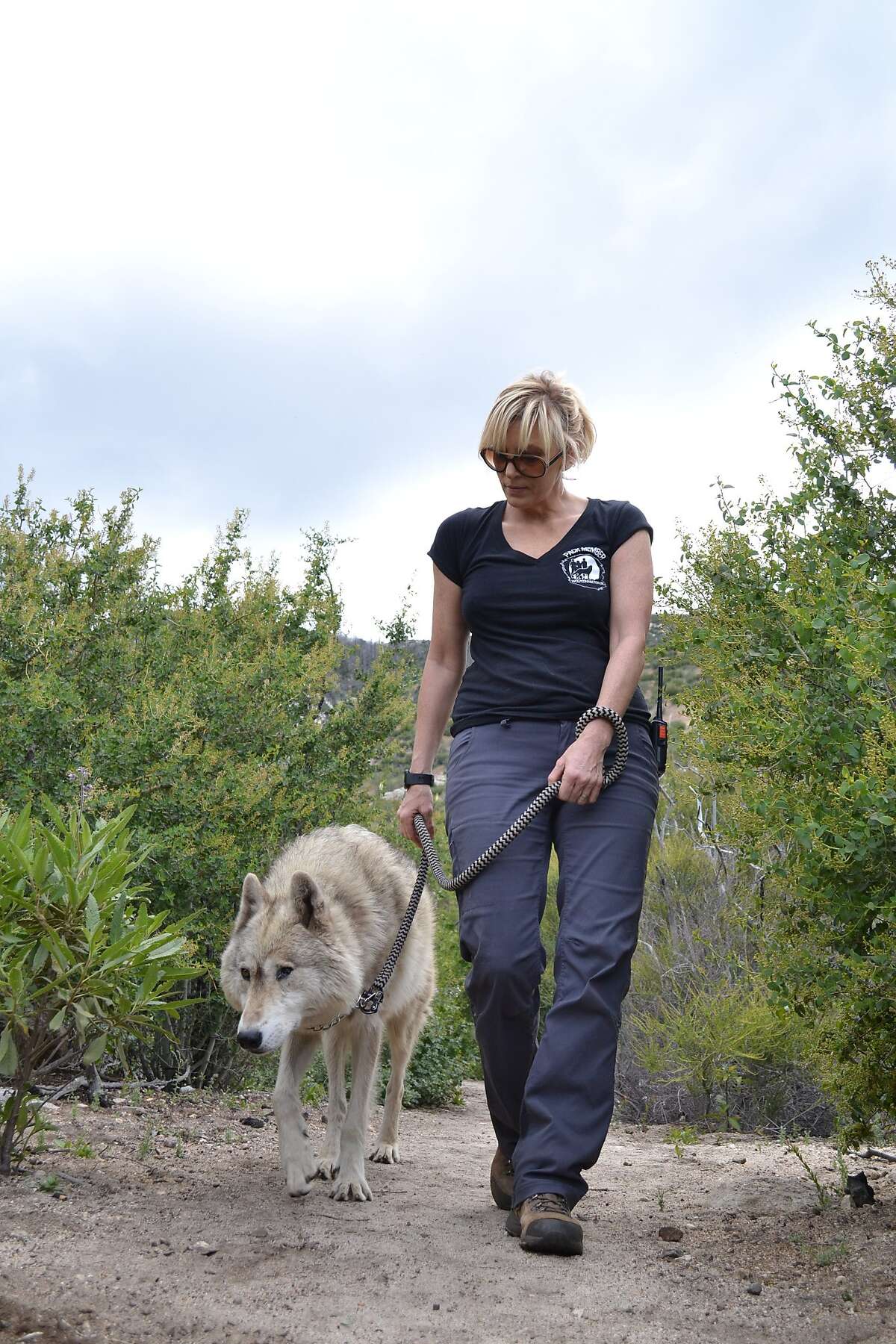 Can ‘wolf therapy’ open people up? One sanctuary aims to find out