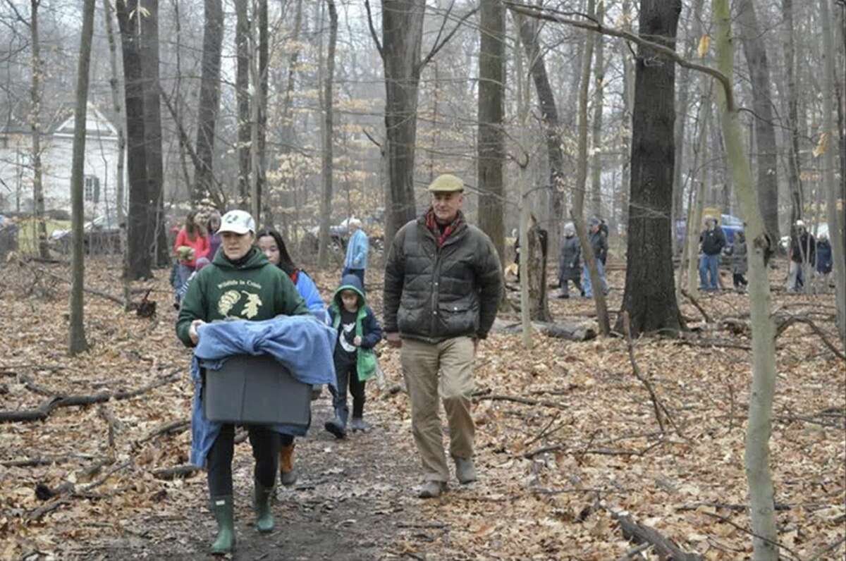 Fly away home: Free again: Rescued raptors released to the wild
