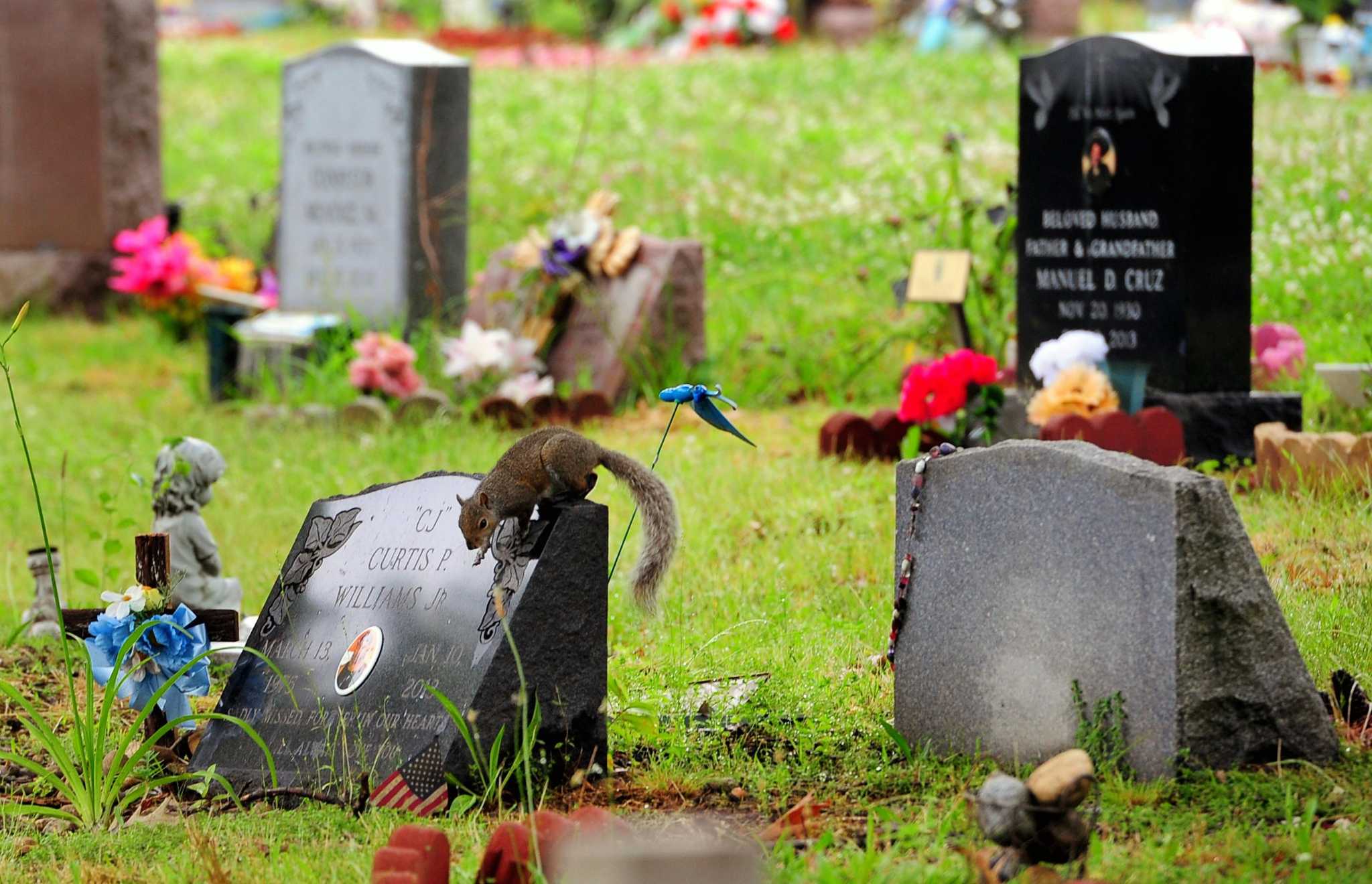 Judge: More investigation needed in cemetery case