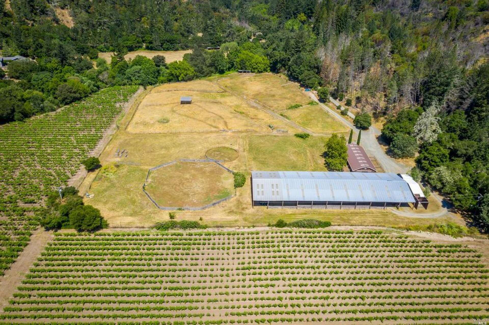 49ers legend Joe Montana selling rustic Calistoga ranch for $3.1 million