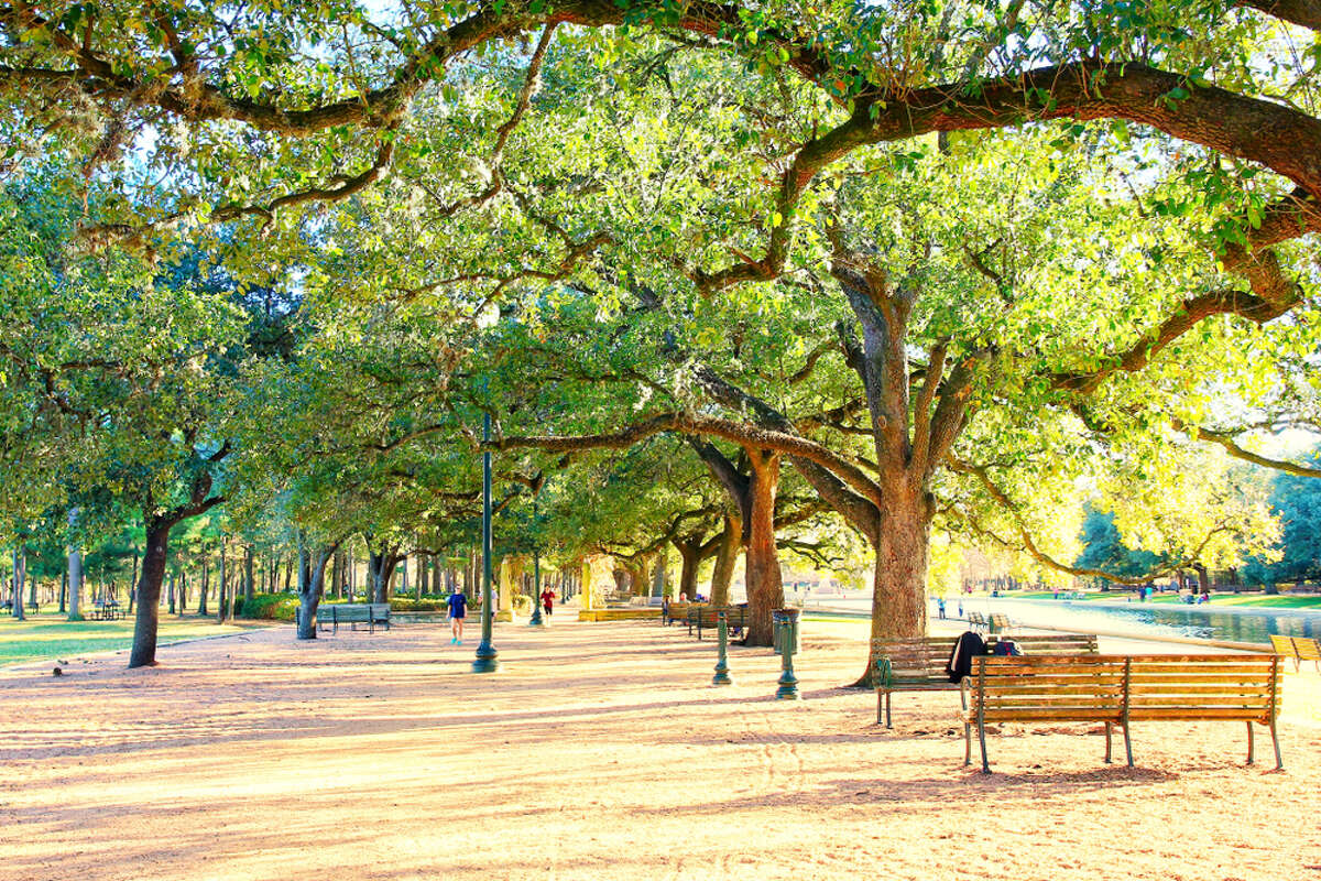 The Houston area's best backdrops for family photos