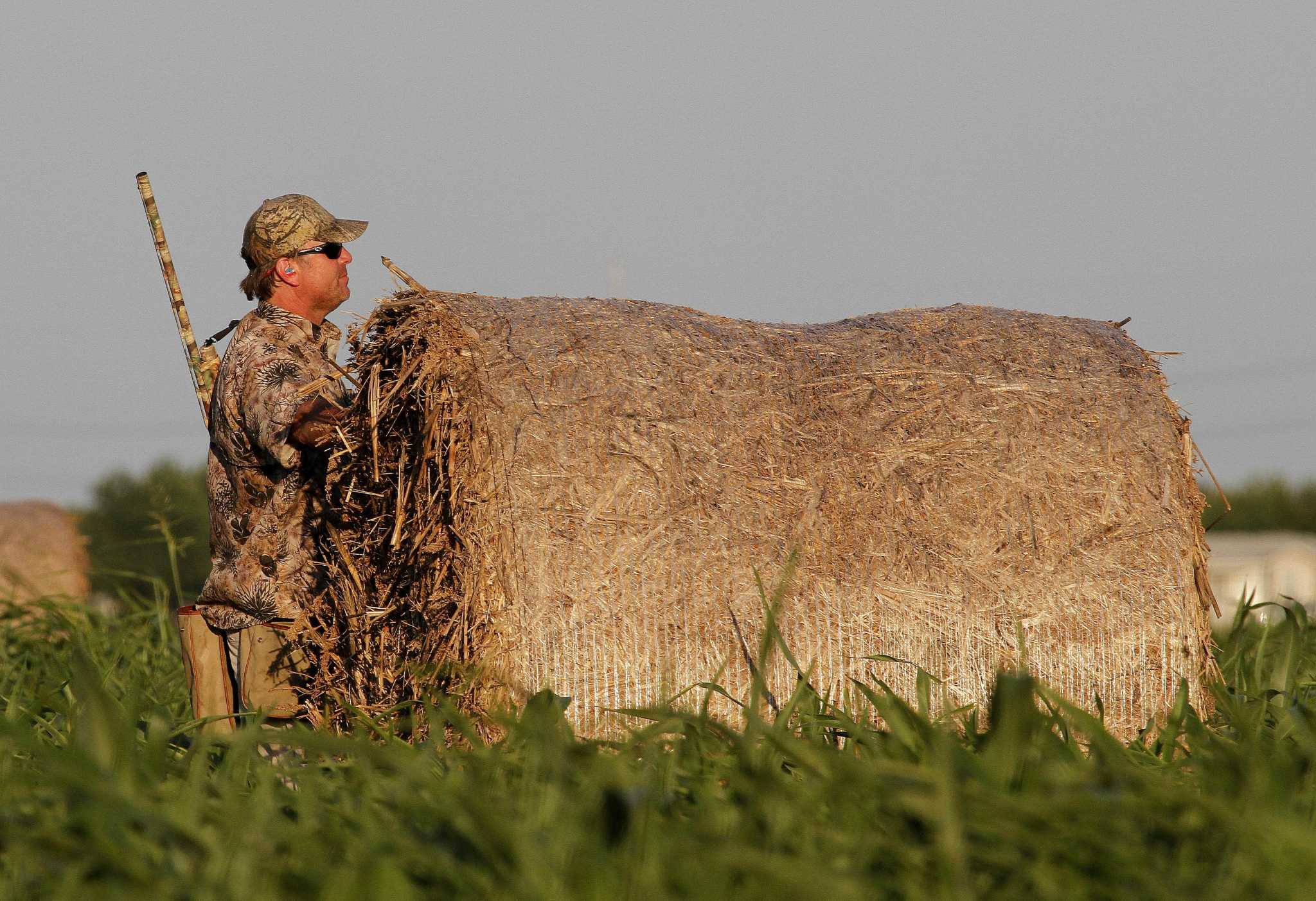 Popular prequel to hunting season coming soon