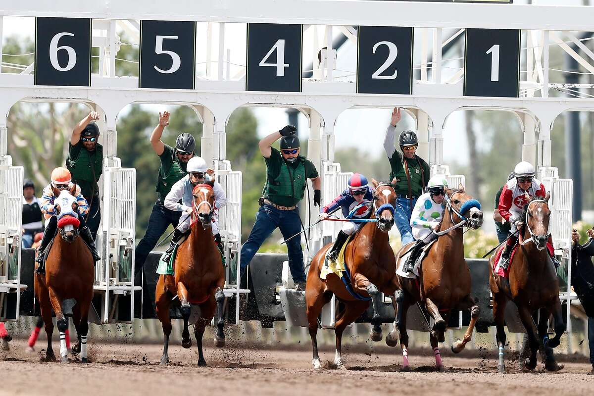 Jerry Hollendorfer continues training horses despite Santa Anita, GGF bans