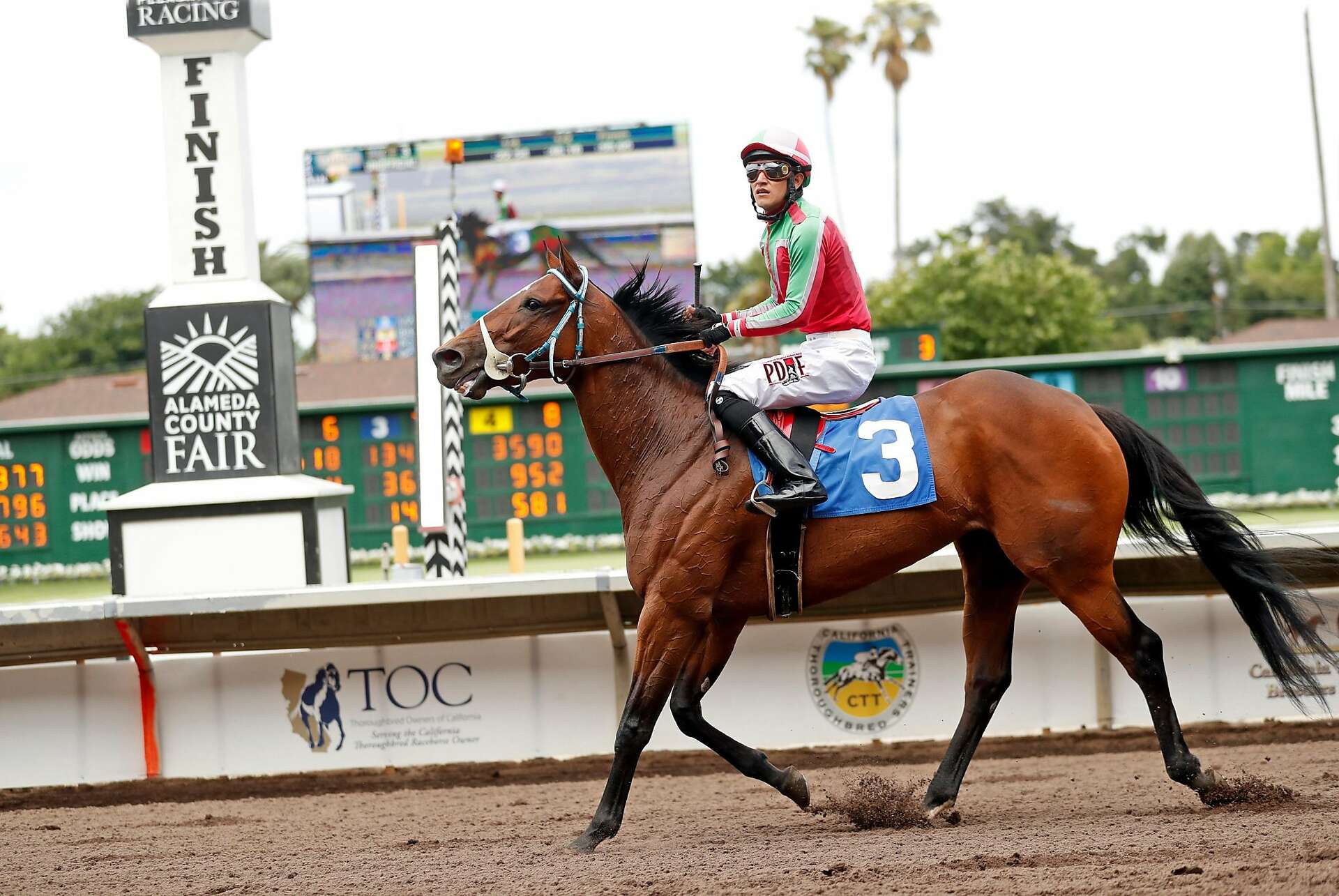 Jerry Hollendorfer continues training horses despite Santa Anita, GGF bans