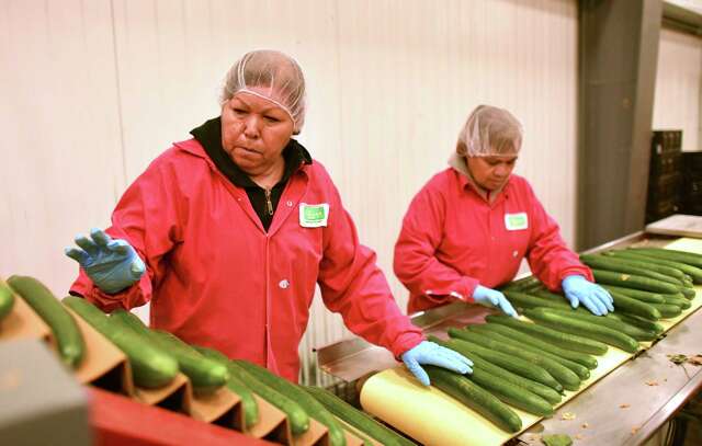 Hemp rush begins on West Texas farms