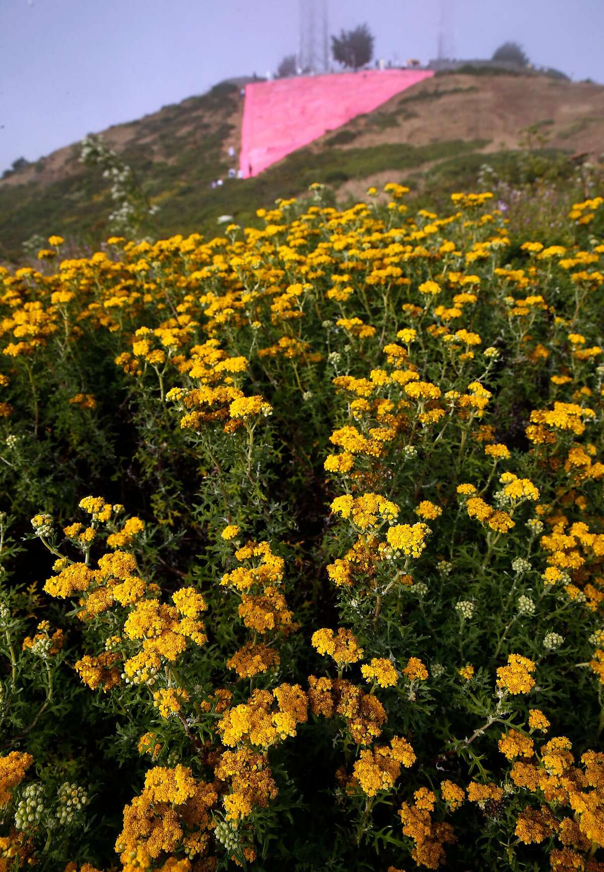 SF Pride Weekend kicks into gear with pink triangle installation, Dyke ...