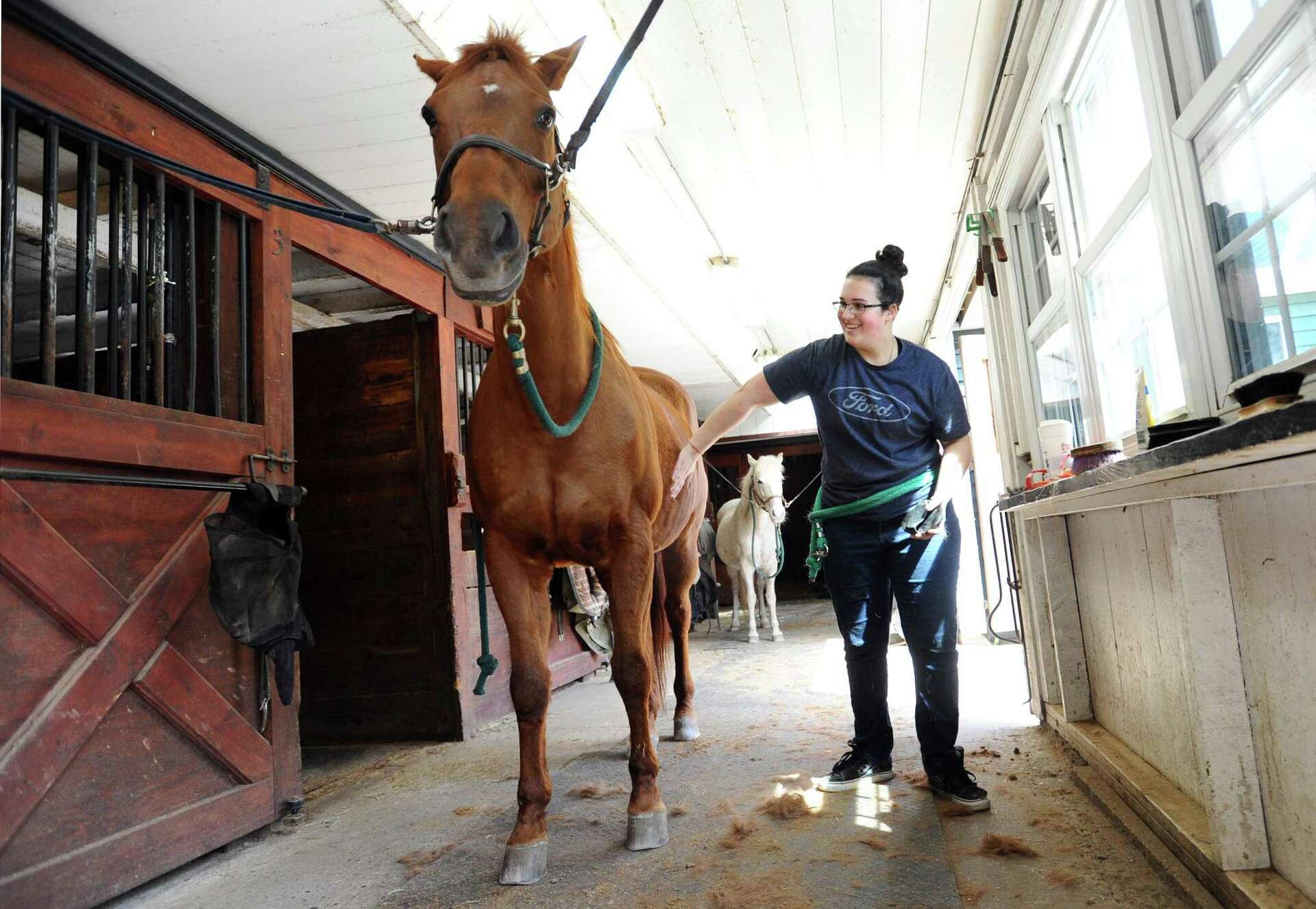 Where to go horseback riding in Connecticut