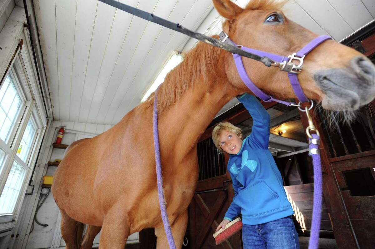 Where to go horseback riding in Connecticut