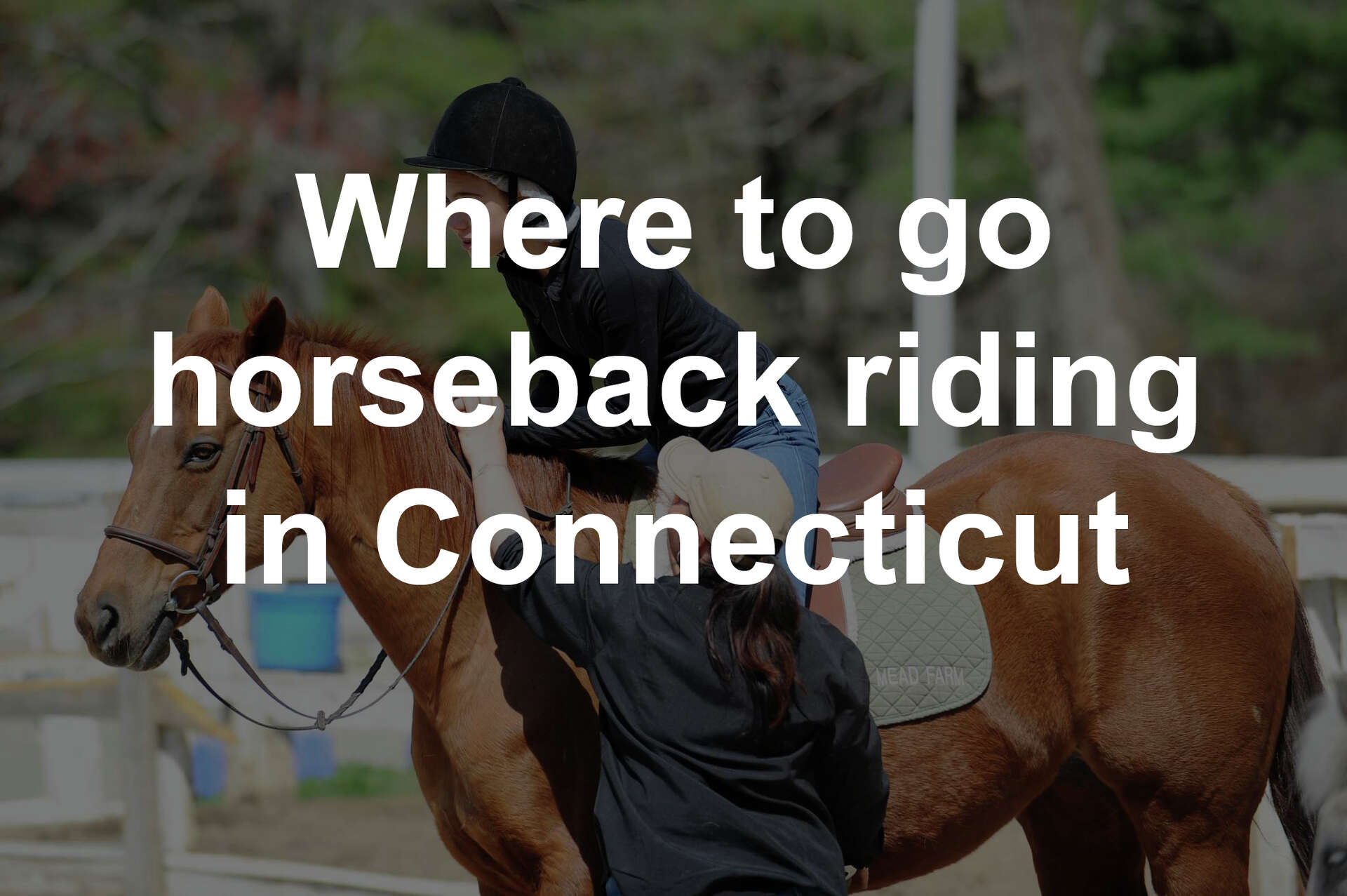 Where to go horseback riding in Connecticut