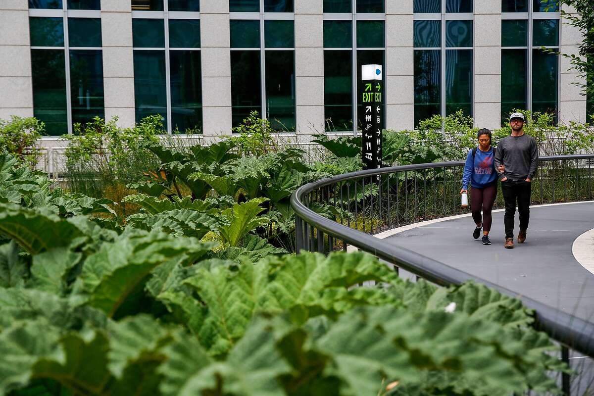SF’s Transbay transit center rooftop park reopens to public — quietly