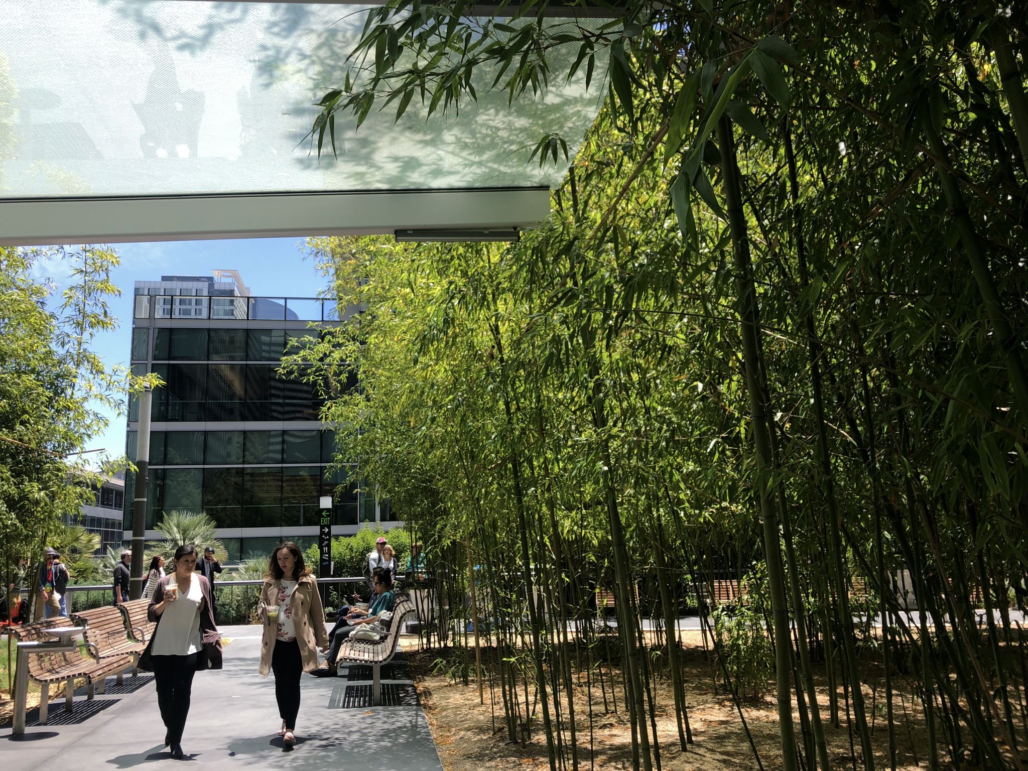 Inside the Salesforce Transit Center and its rooftop park, which ...