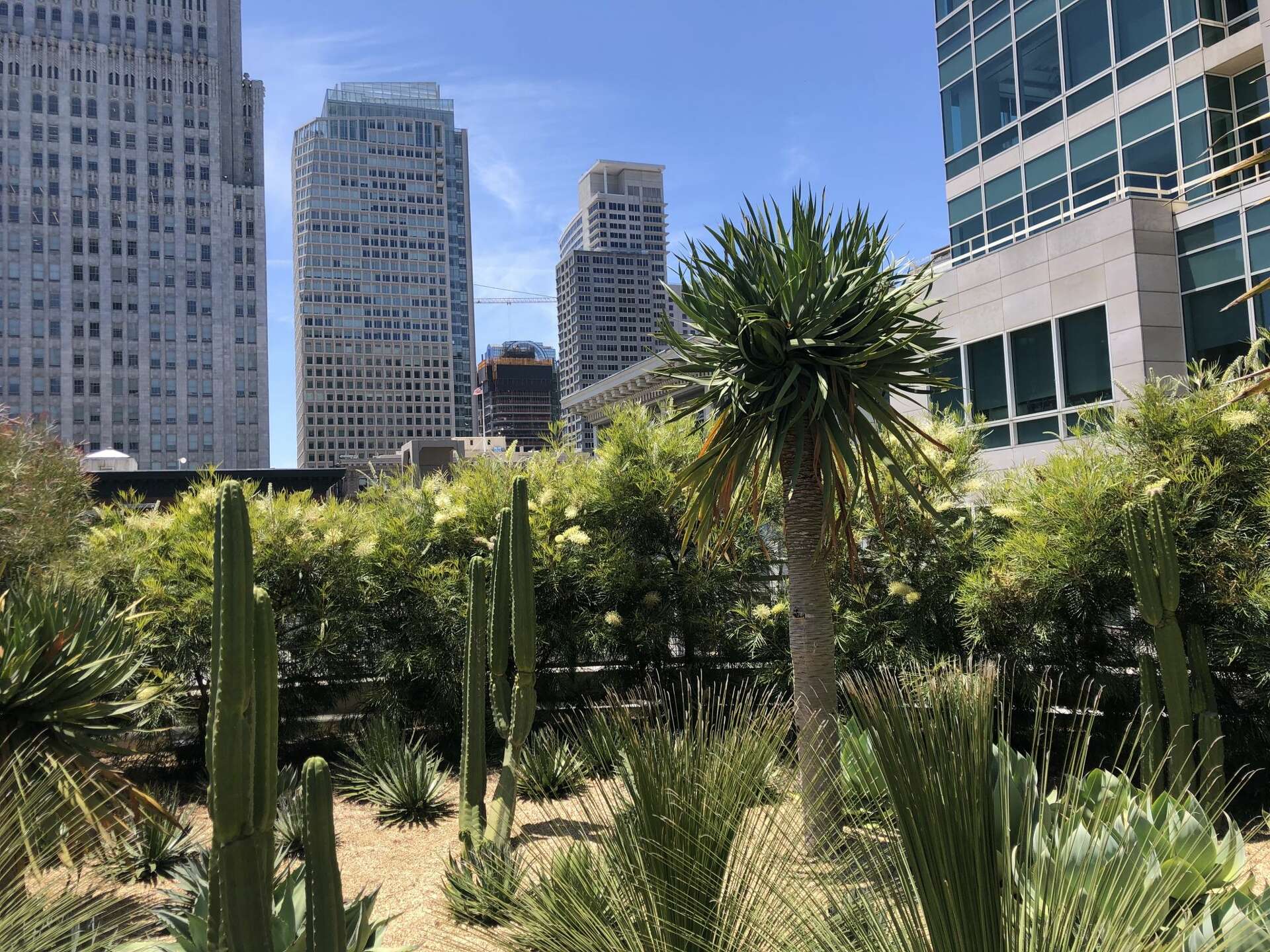 Inside the Salesforce Transit Center and its rooftop park, which ...