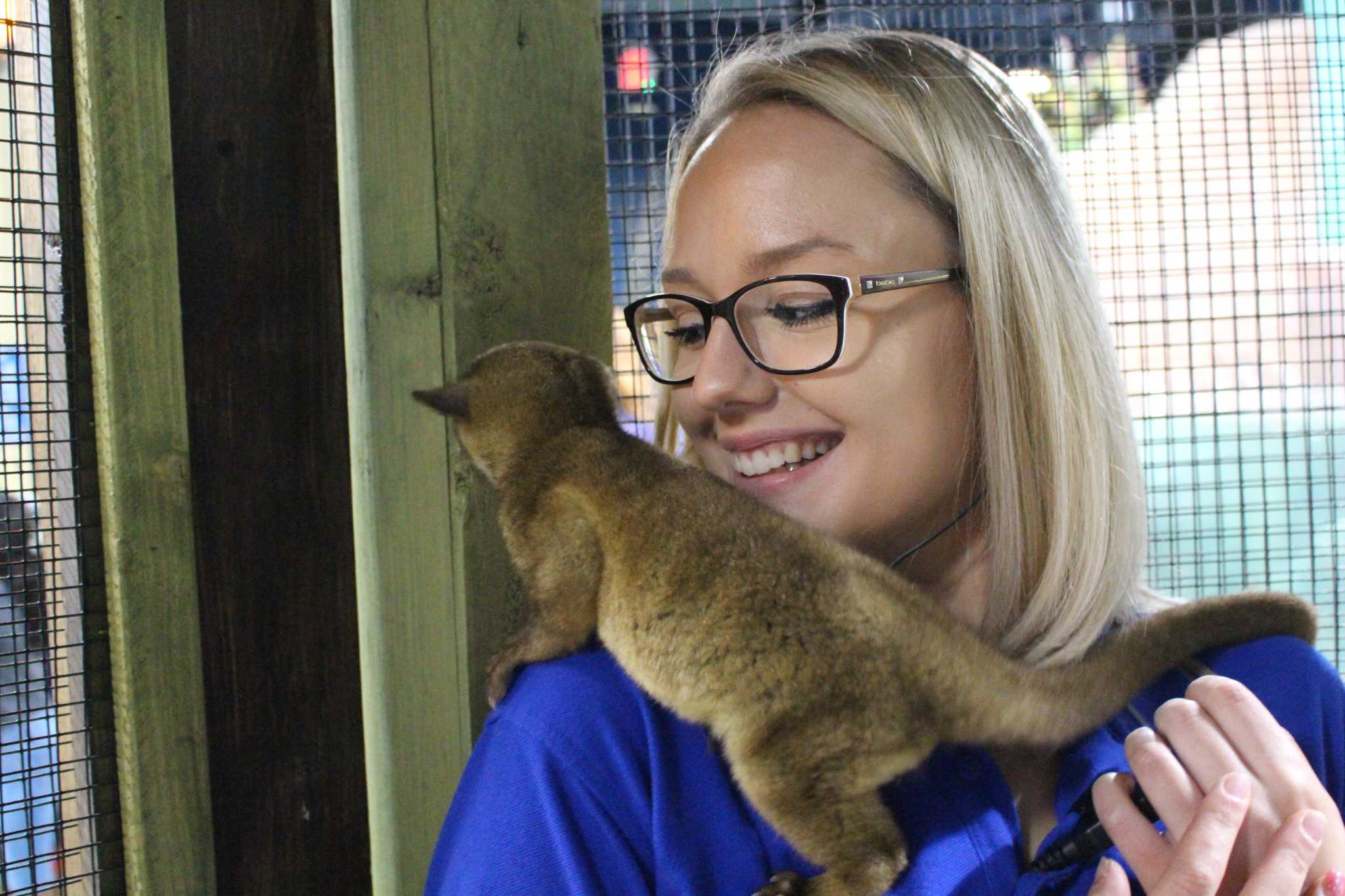 SeaQuest Interactive Aquarium opens in Trumbull