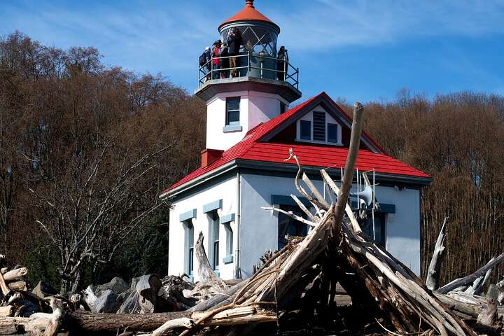 Seattle's 10 best beaches for exploring tide pools this summer
