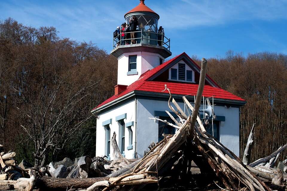 Seattle's 10 best beaches for exploring tide pools this summer
