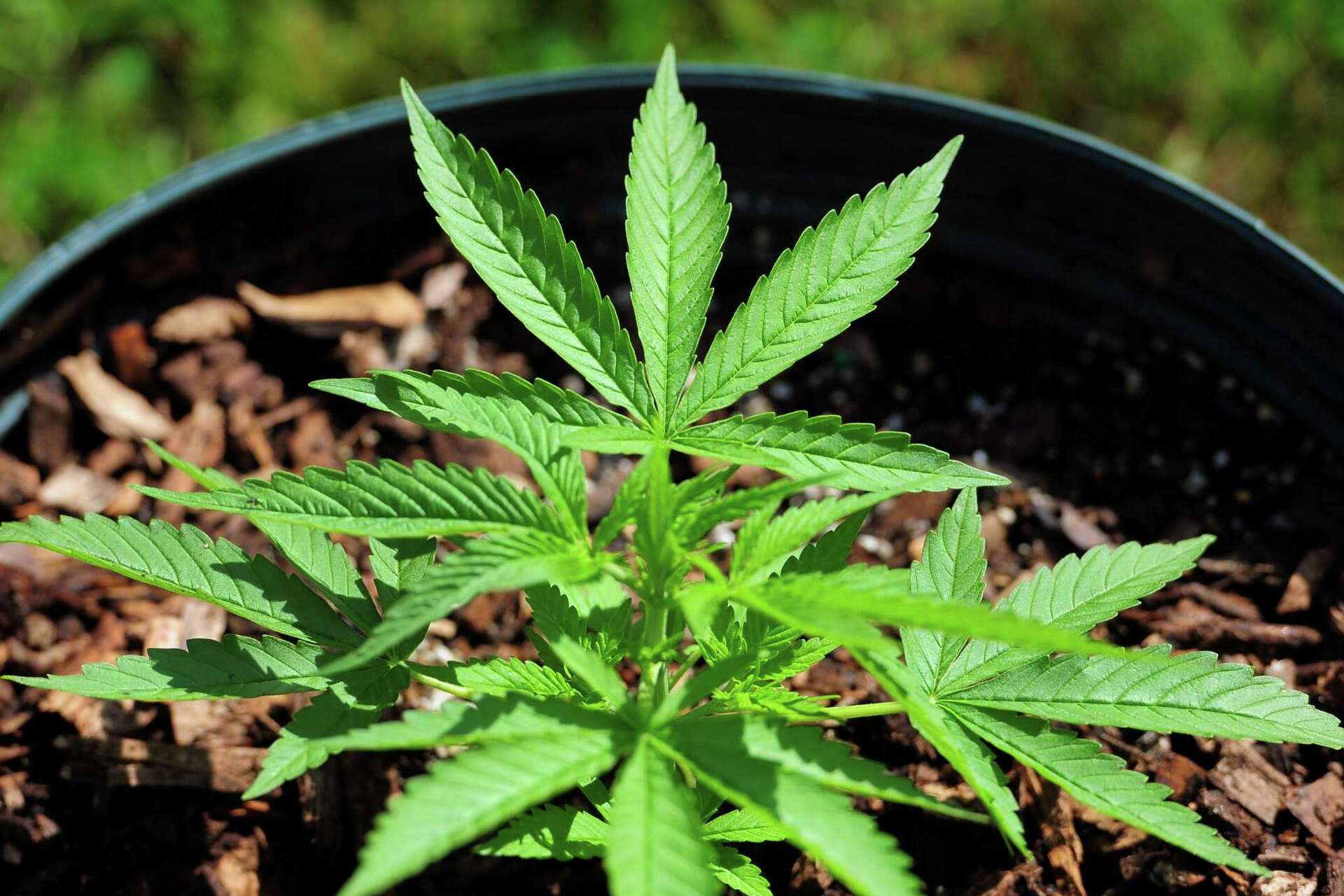 Oregon becomes first state to decriminalize possession of hard drugs as ...