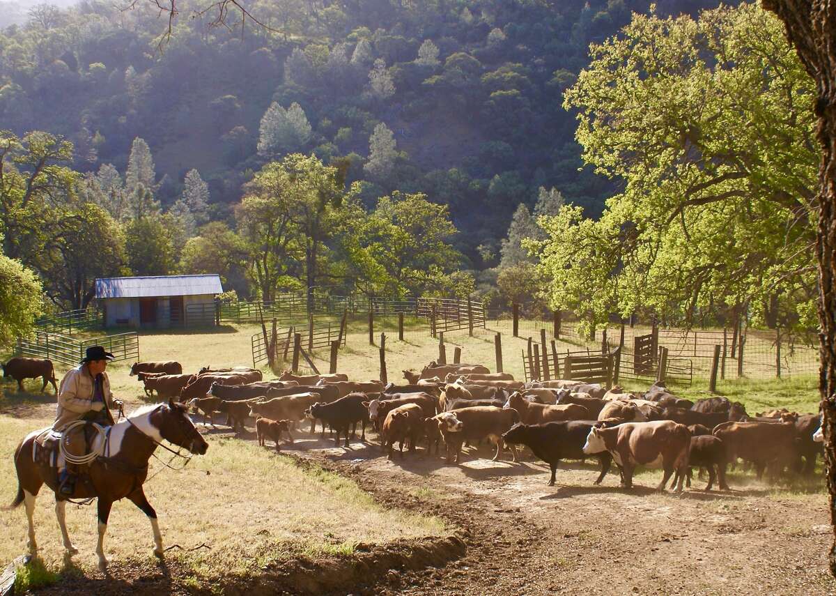 Bay Area ranch, larger than San Francisco, listed for $72 million