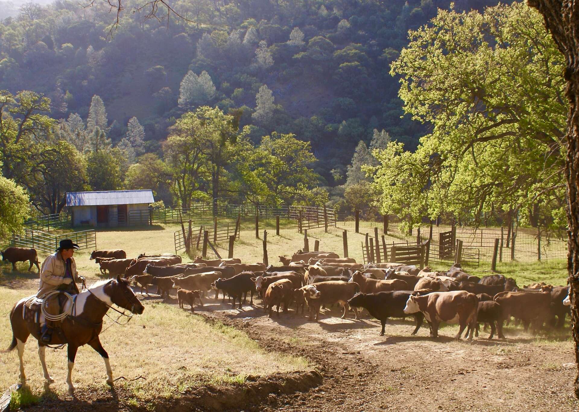 Bay Area ranch, larger than San Francisco, listed for $72 million