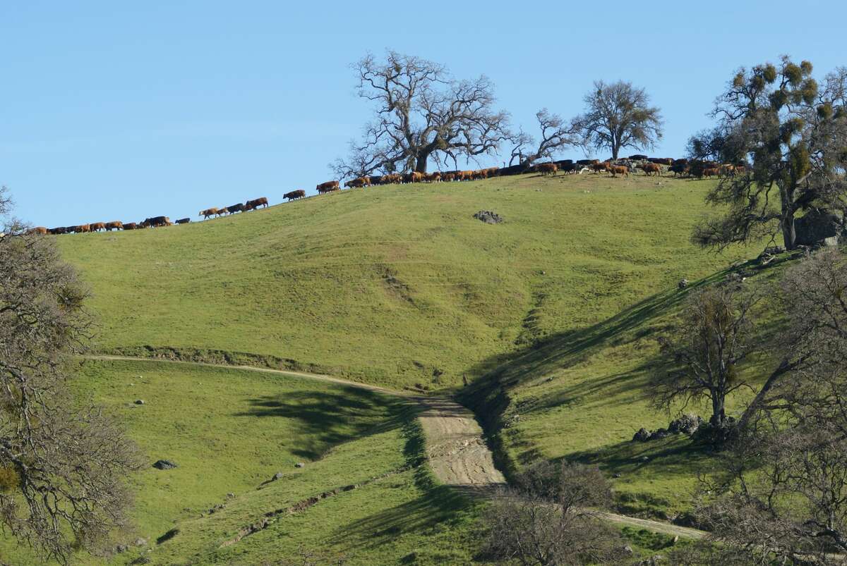 Bay Area ranch, larger than San Francisco, listed for $72 million
