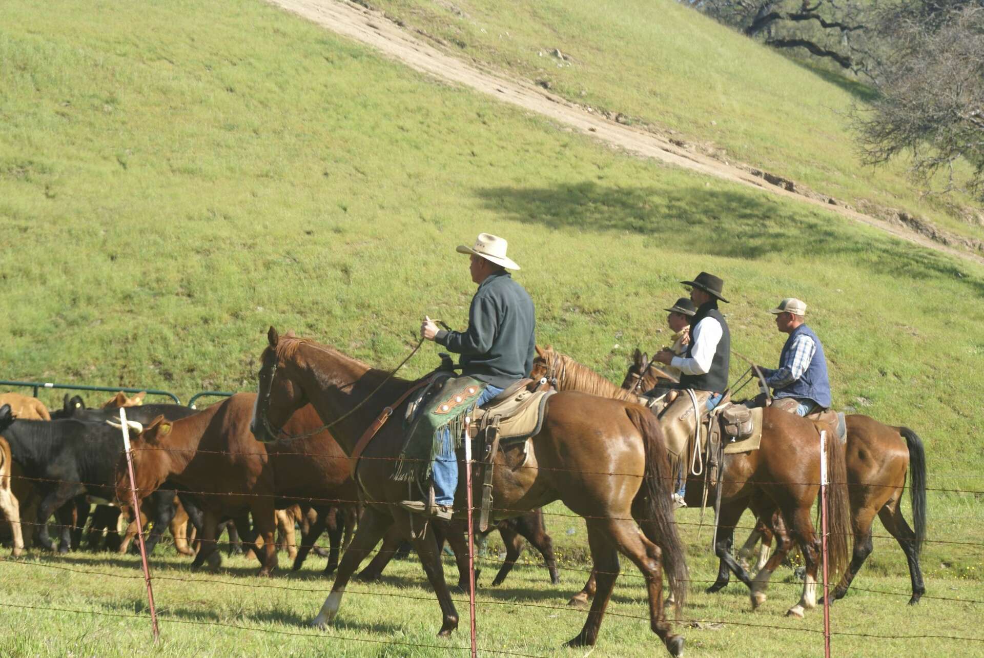 Bay Area ranch, larger than San Francisco, listed for $72 million