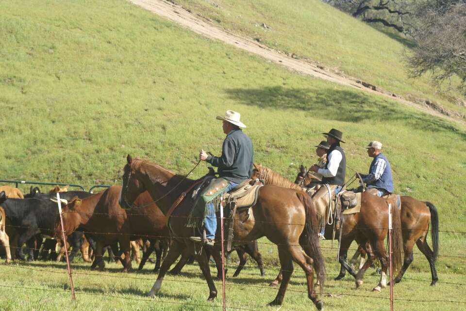 Bay Area ranch, larger than San Francisco, listed for $72 million