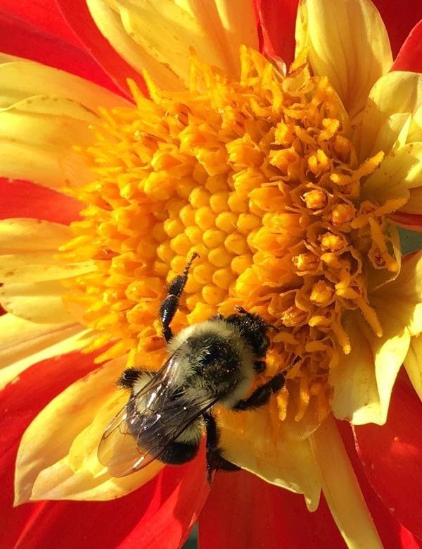 Camera club exhibit at nature center