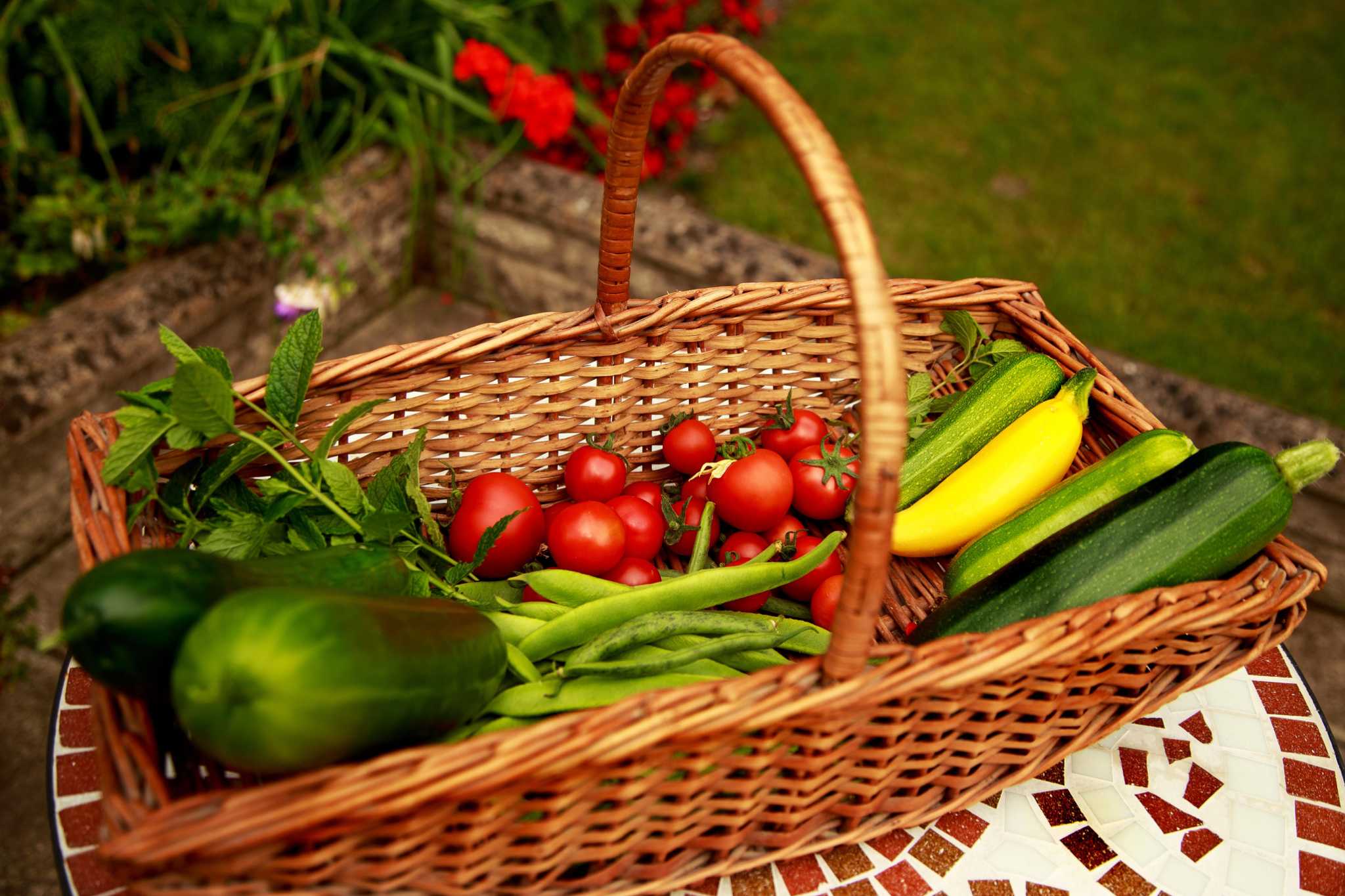 What Your Summer Vegetable Garden Says About You