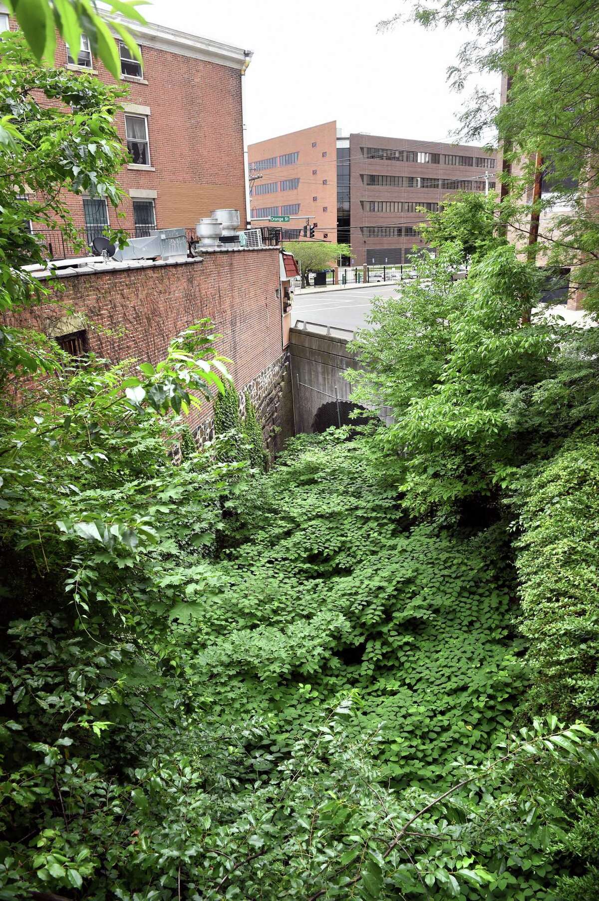 Farmington Canal Trail’s ‘final link’ work gains approval