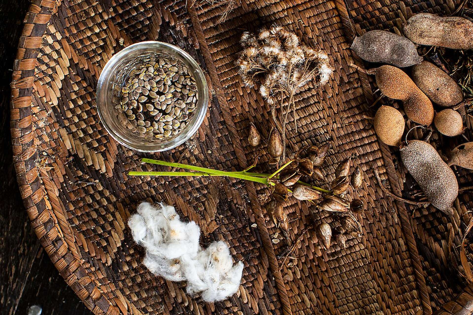 An ode to the soulful magic of simple beans