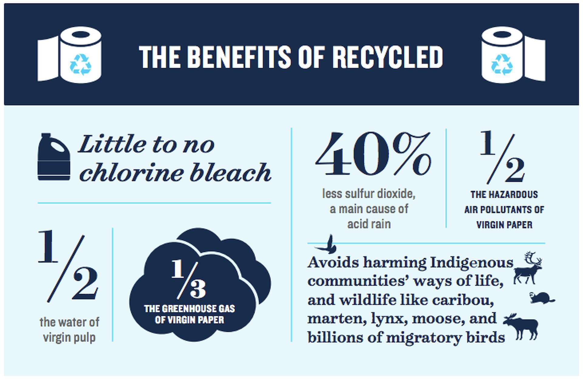 The fluffy toilet paper you are buying is helping kill Canada's ancient ...