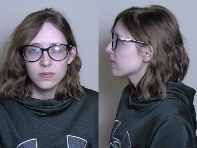 Officials: Woman printed her own lawyer’s license, evidence on her ...